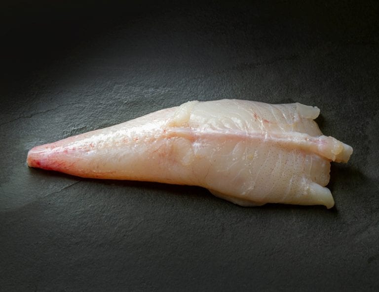 Monkfish skinless tail, 500g | W Stevenson & Sons Ltd