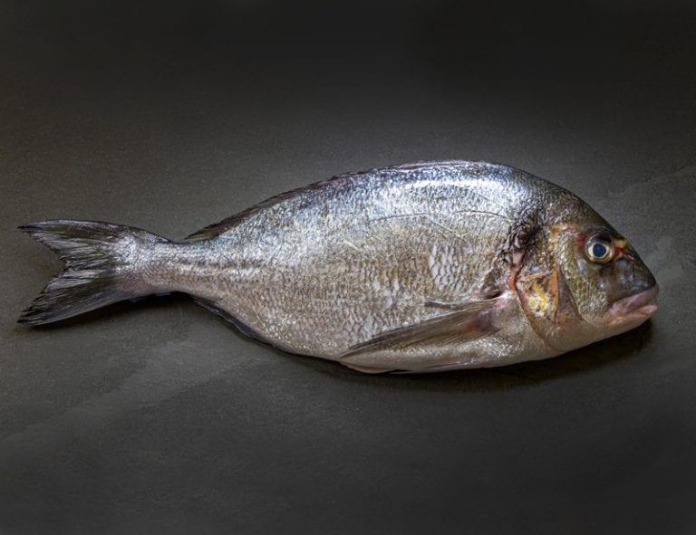 Farmed Sea Bream Whole, 400G+ | W Stevenson & Sons Ltd
