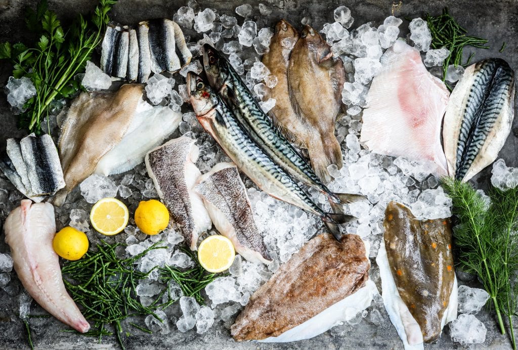 Cornish fish box | W Stevenson & Sons Ltd