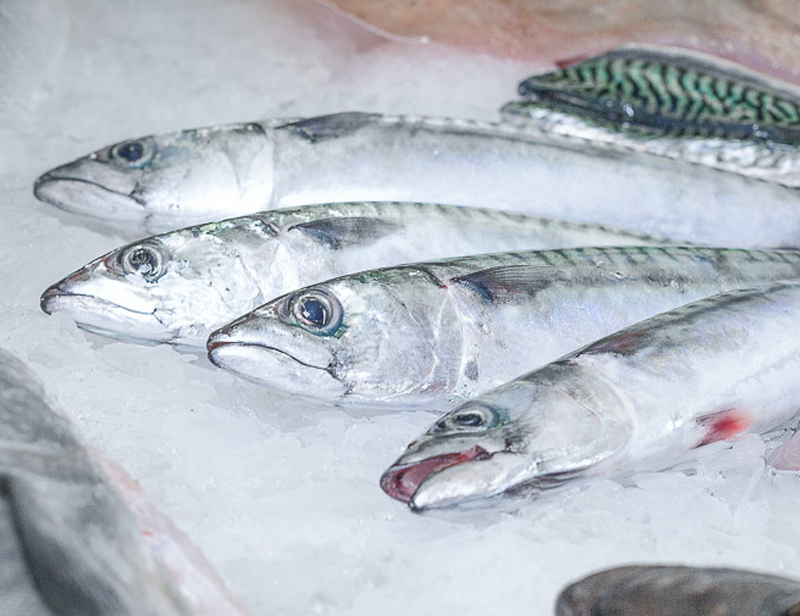 Small family fish box | W Stevenson & Sons Ltd